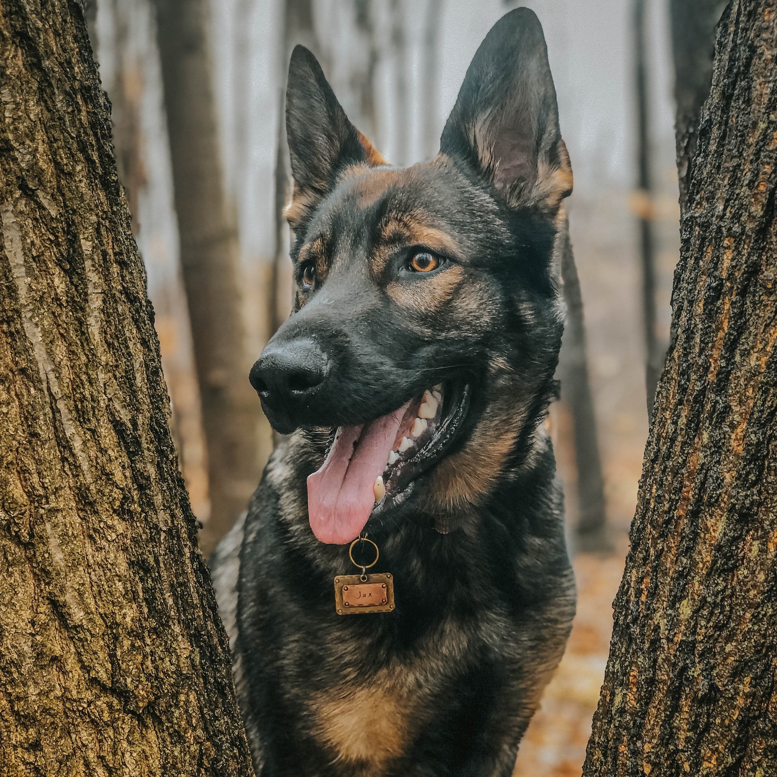 Large Dog Tag Personalized Pet ID Tag With Hand Stamped and Engraved ...