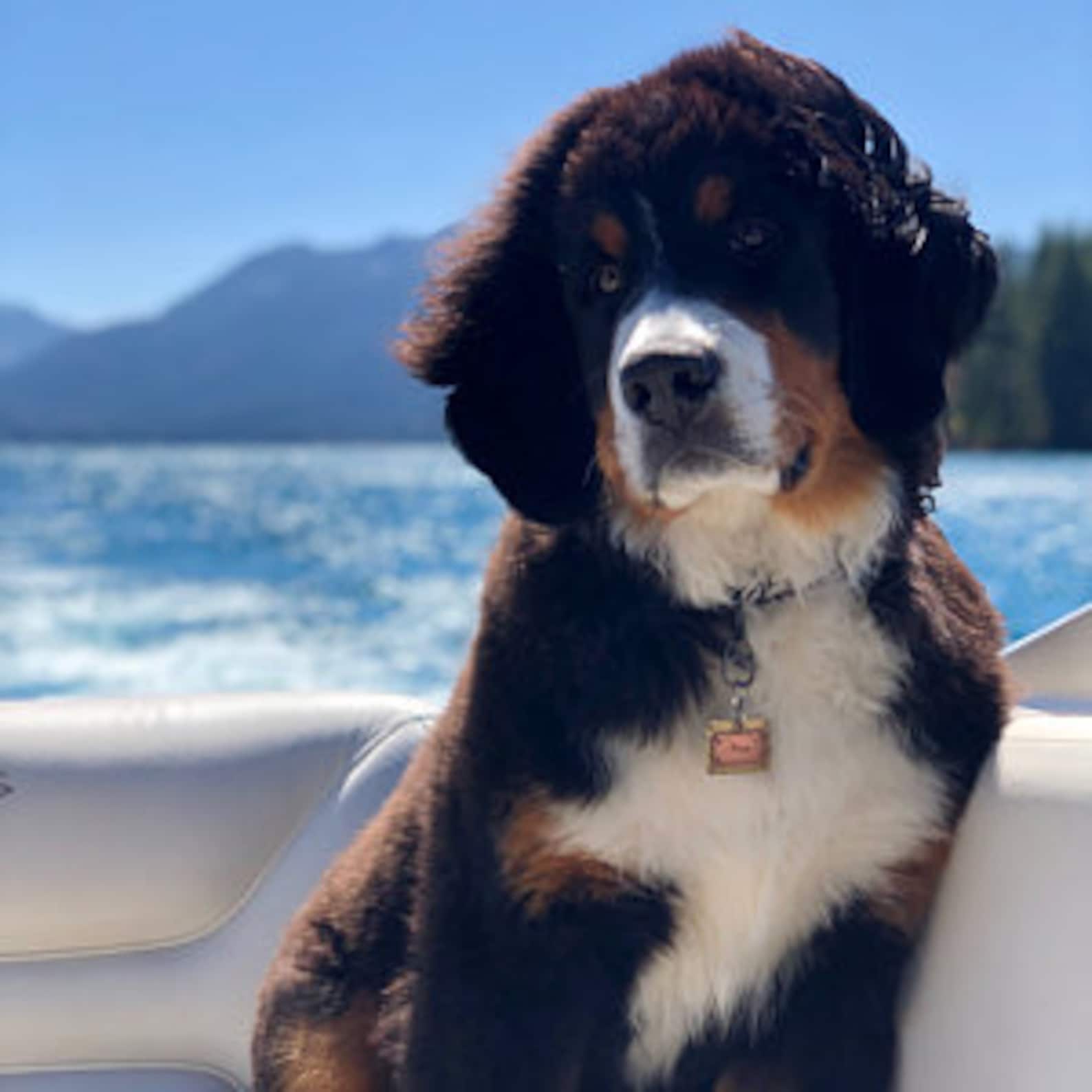 Large Dog Tag Personalized Pet ID Tag With Hand Stamped and Engraved ...