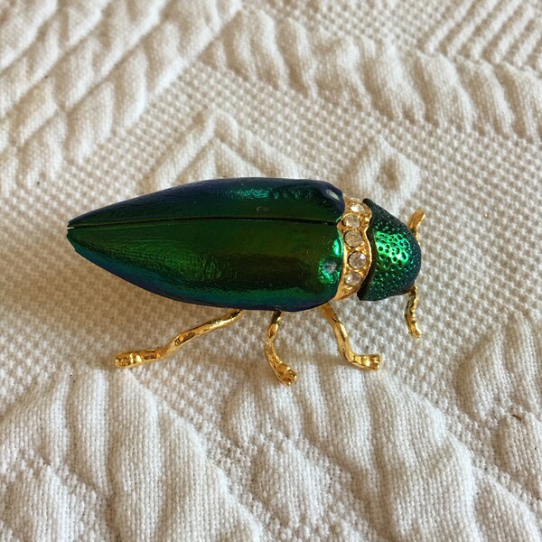Gold Beetle - Etsy