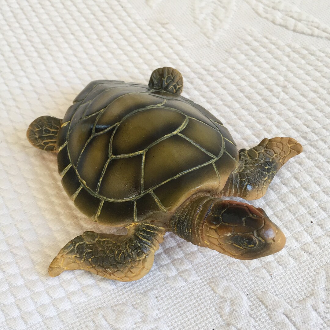 Vintage Composite Water Turtle With Natural Coloring. Realistic ...
