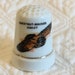 Vintage Owl Collector Thimble. Owl Motifs With Identifying Name ...