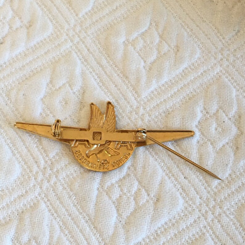 Vintage 7 Varied Pins. Collectible Pins. American Airline Wings, SC ...