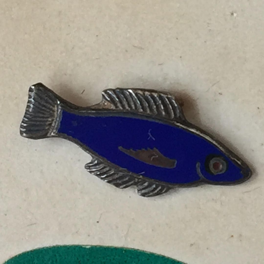 Vintage Tiny Sterling Enamel Fish Pin From Dorrety of Boston Jewelers ...