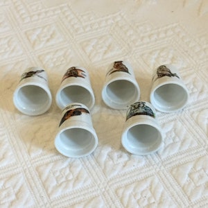 Vintage Owl Collector Thimble. Owl Motifs With Identifying Name ...