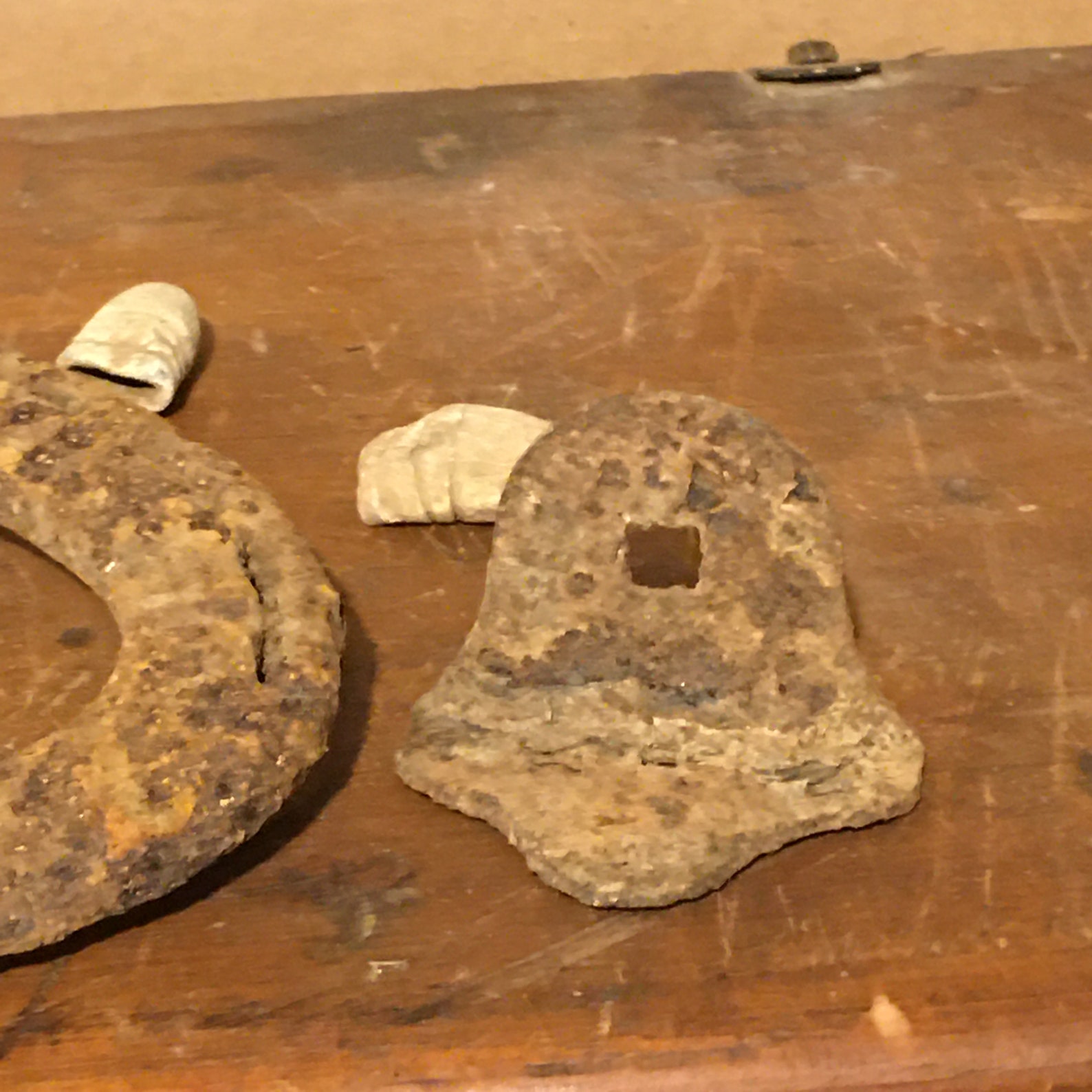 Antique Civil War Dug up Relics From Battlefields Near | Etsy