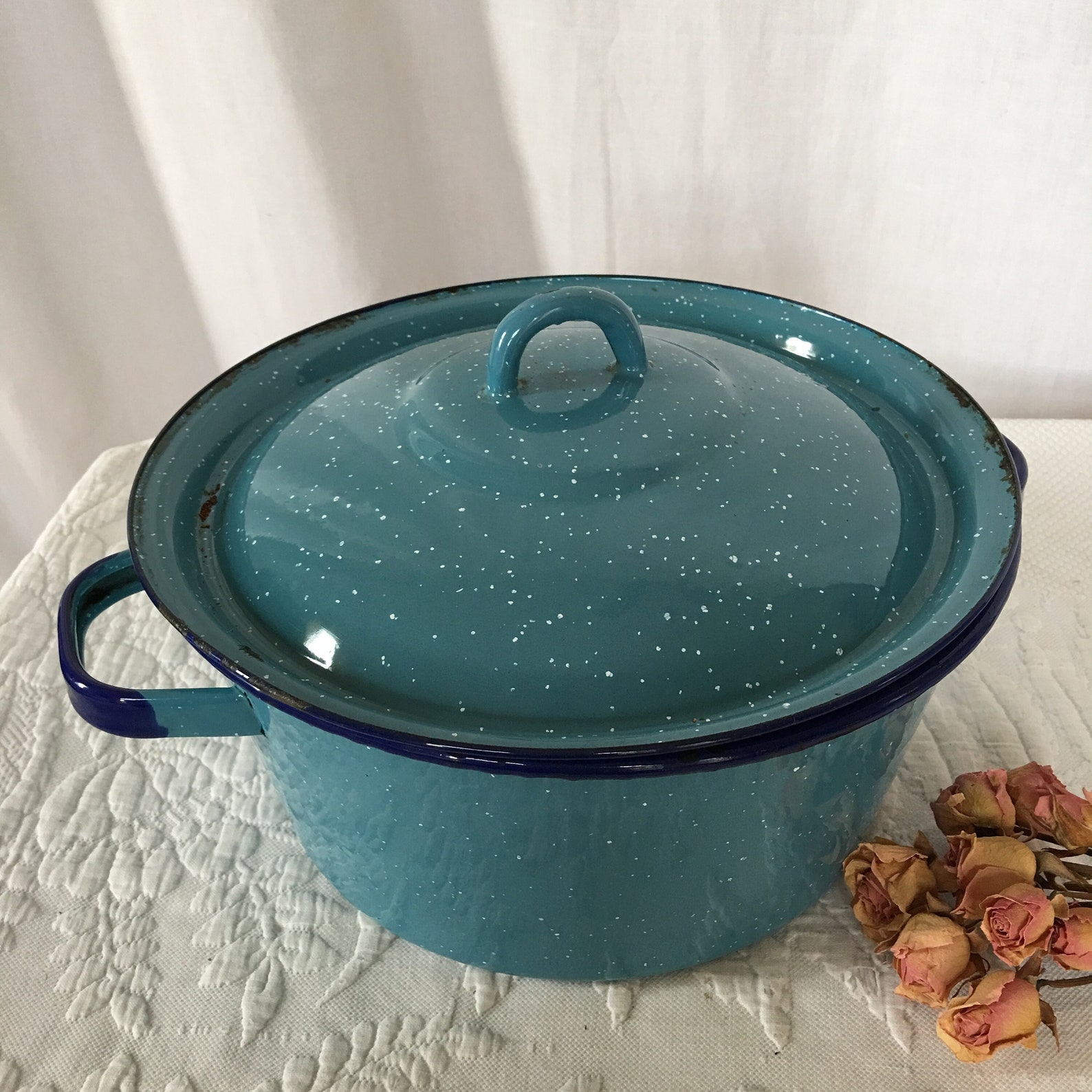 Vintage Light Blue Enamelware Pot With Two Side Handles and Lid With ...