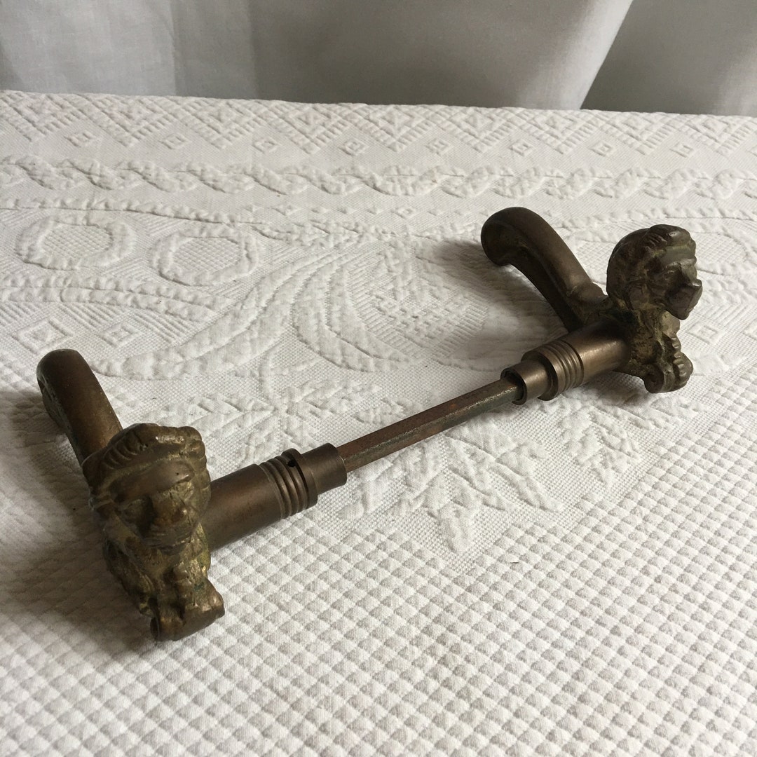 Antique Brass Lion Door Handles. Lion Head and Paws on Double Handles ...