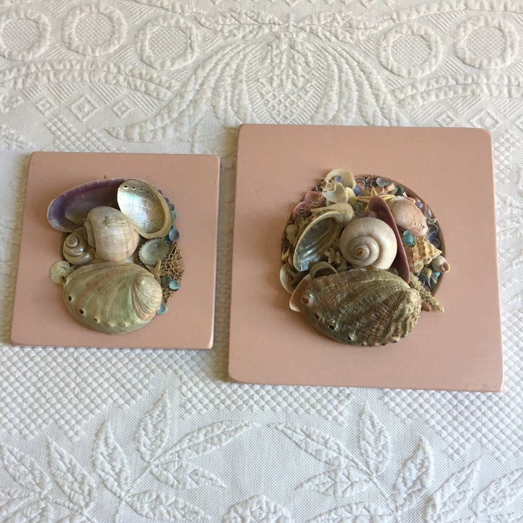 Vintage Pink Seashell Plaque Set. Two Wall Pictures With Arrangement of ...