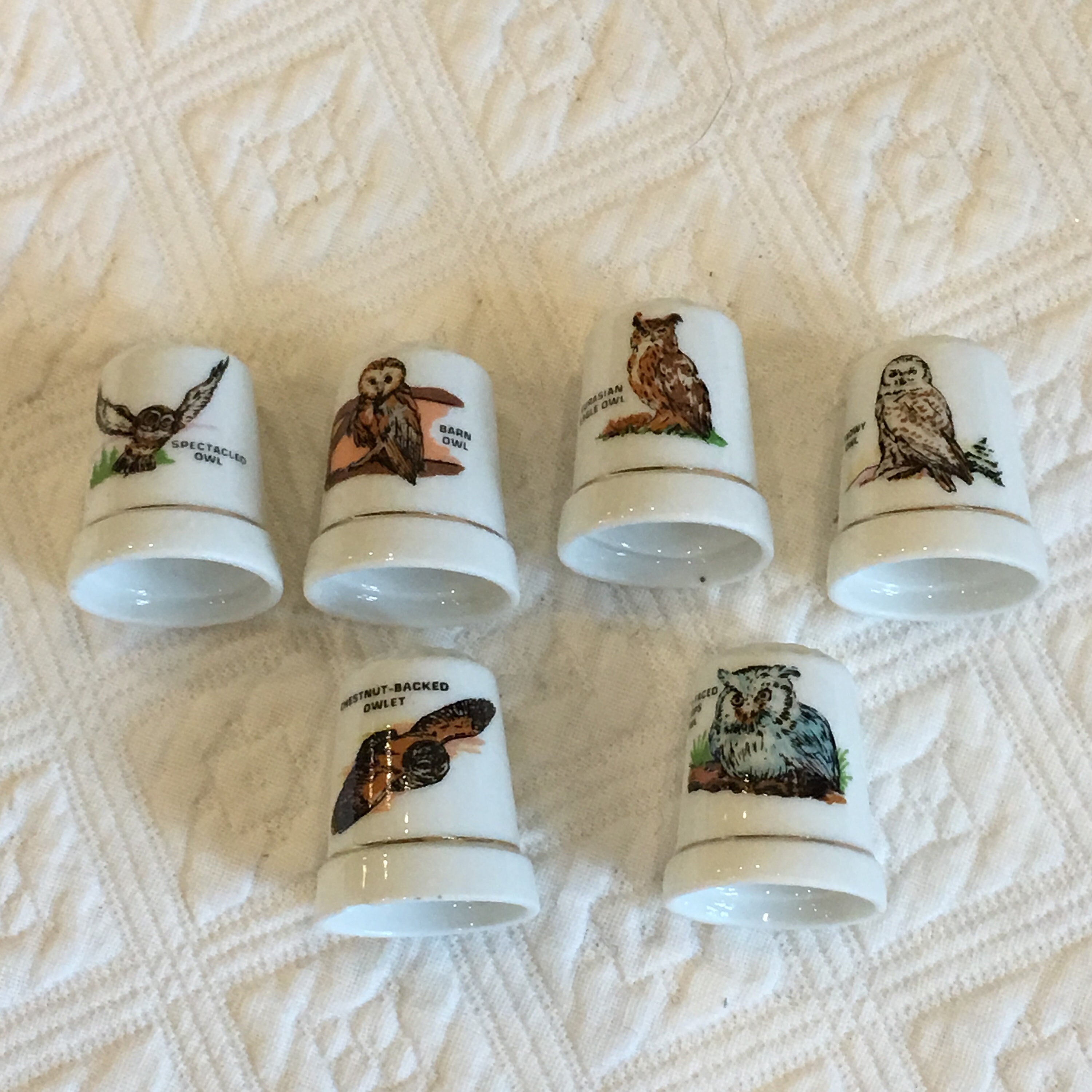 Vintage Owl Collector Thimble. Owl Motifs With Identifying Name ...
