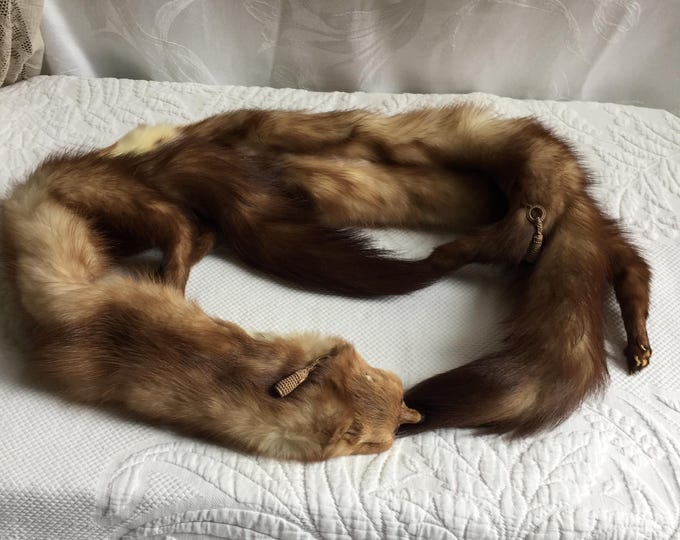 Vintage 20s Mink Wrap, 4 1/2" Wide. Includes Head, Tail and Feet. Two ...