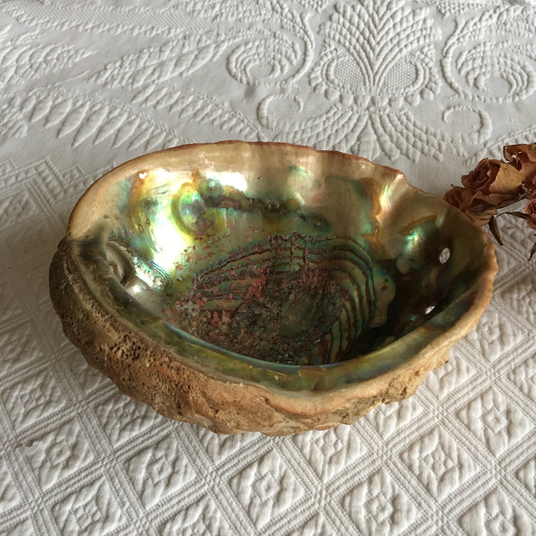 Vintage Abalone Shell Bowl, Natural Shells. Mother of Pearl Insides ...