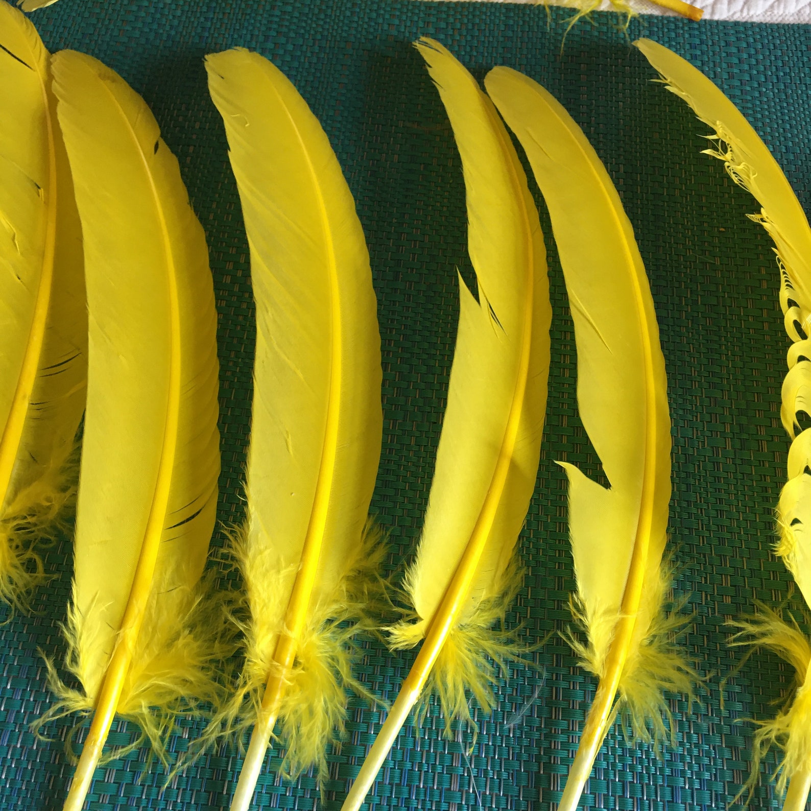 Vintage Yellow Straight Slightly Curved Feathers. Could Be - Etsy