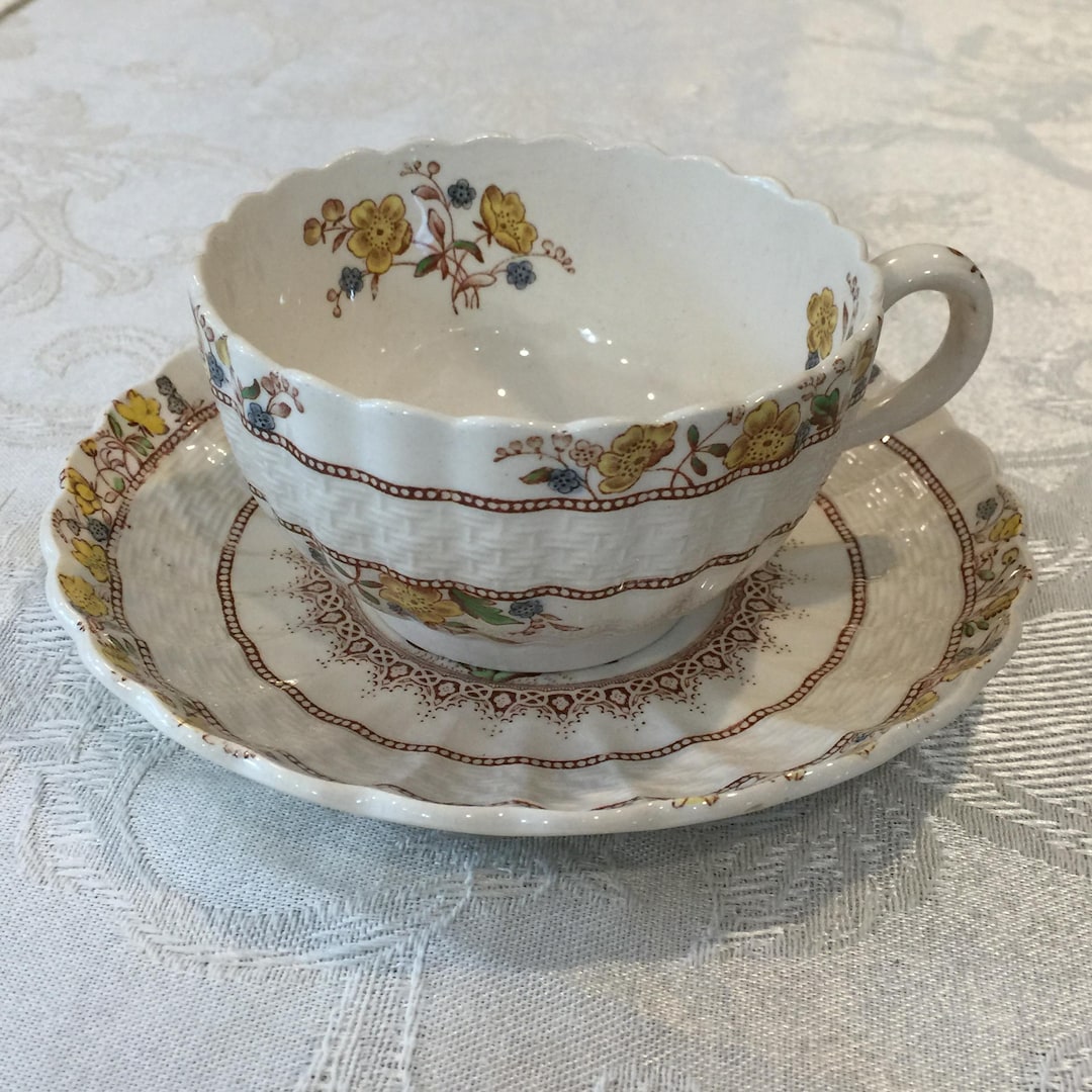 Vintage 1920s to 60s Copeland Spode Buttercup Cup and Saucer. the Cup ...