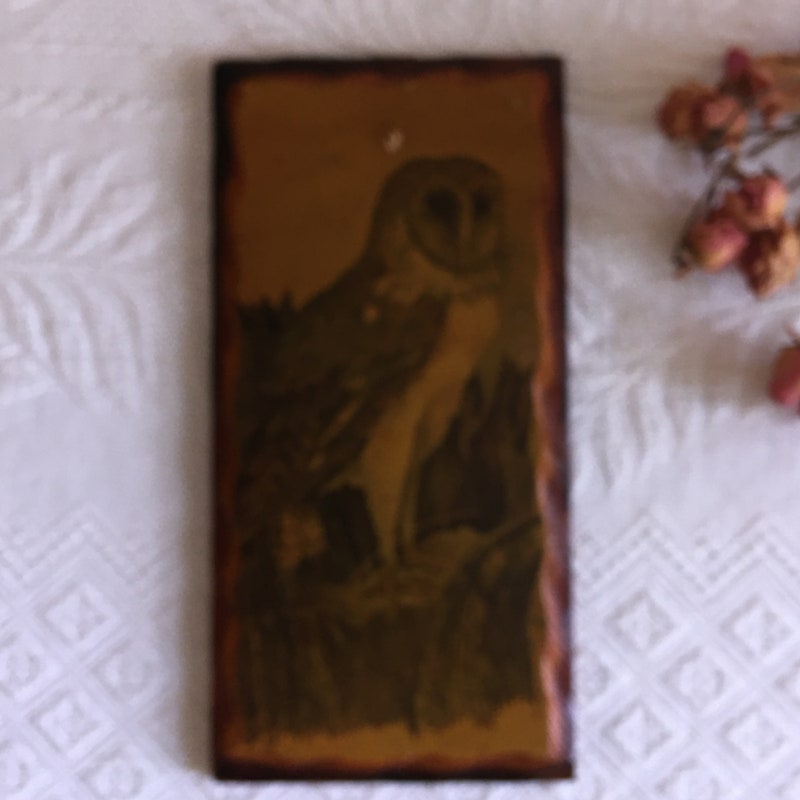 Owl Wall Plaque - Etsy
