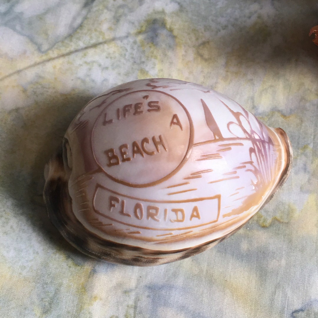 Natural Seashell Etched and Carved With Life's a Beach, Florida. Scene ...