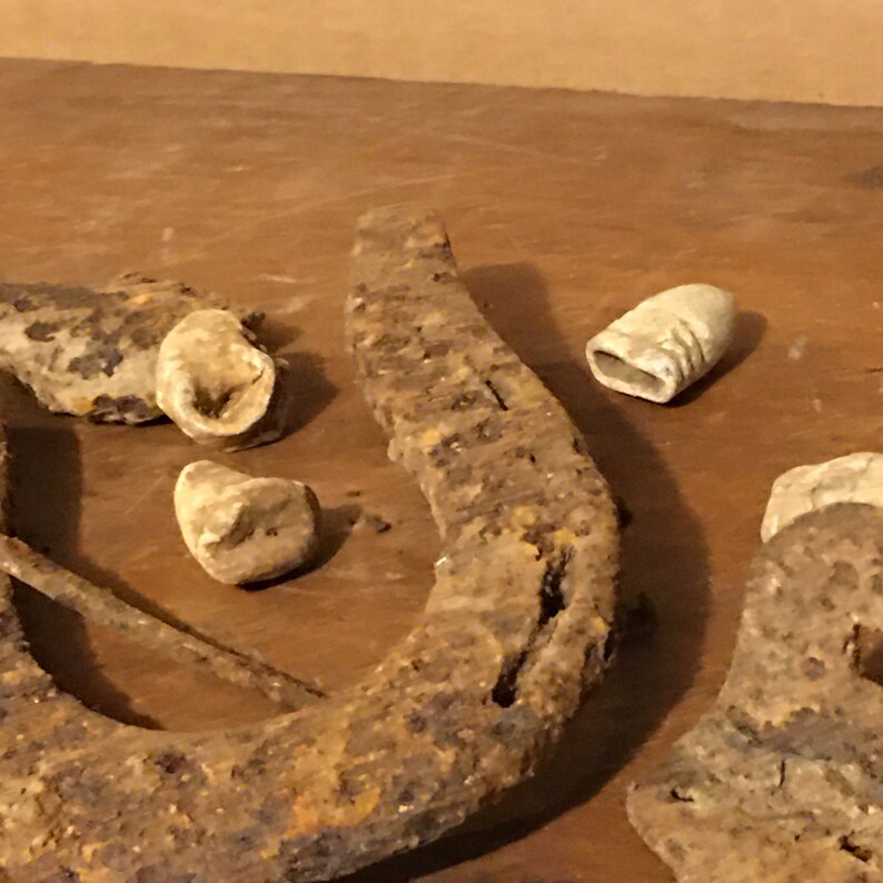Antique Civil War Dug up Relics From Battlefields Near | Etsy