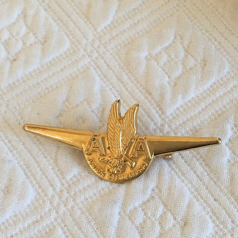 Vintage 7 Varied Pins. Collectible Pins. American Airline Wings, SC ...
