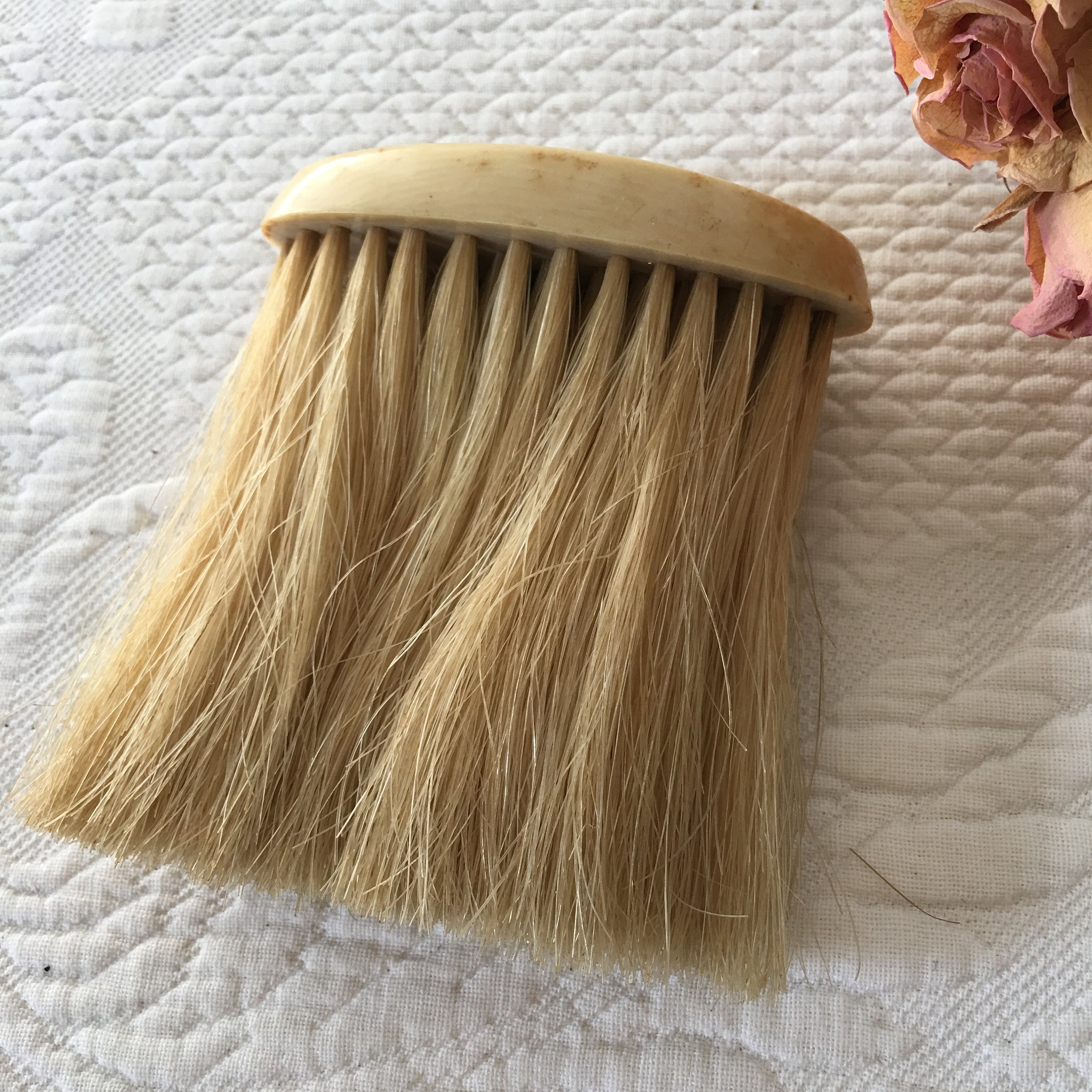 Antique Celluloid Hat Brush Without Handle. Celluloid Top With | Etsy