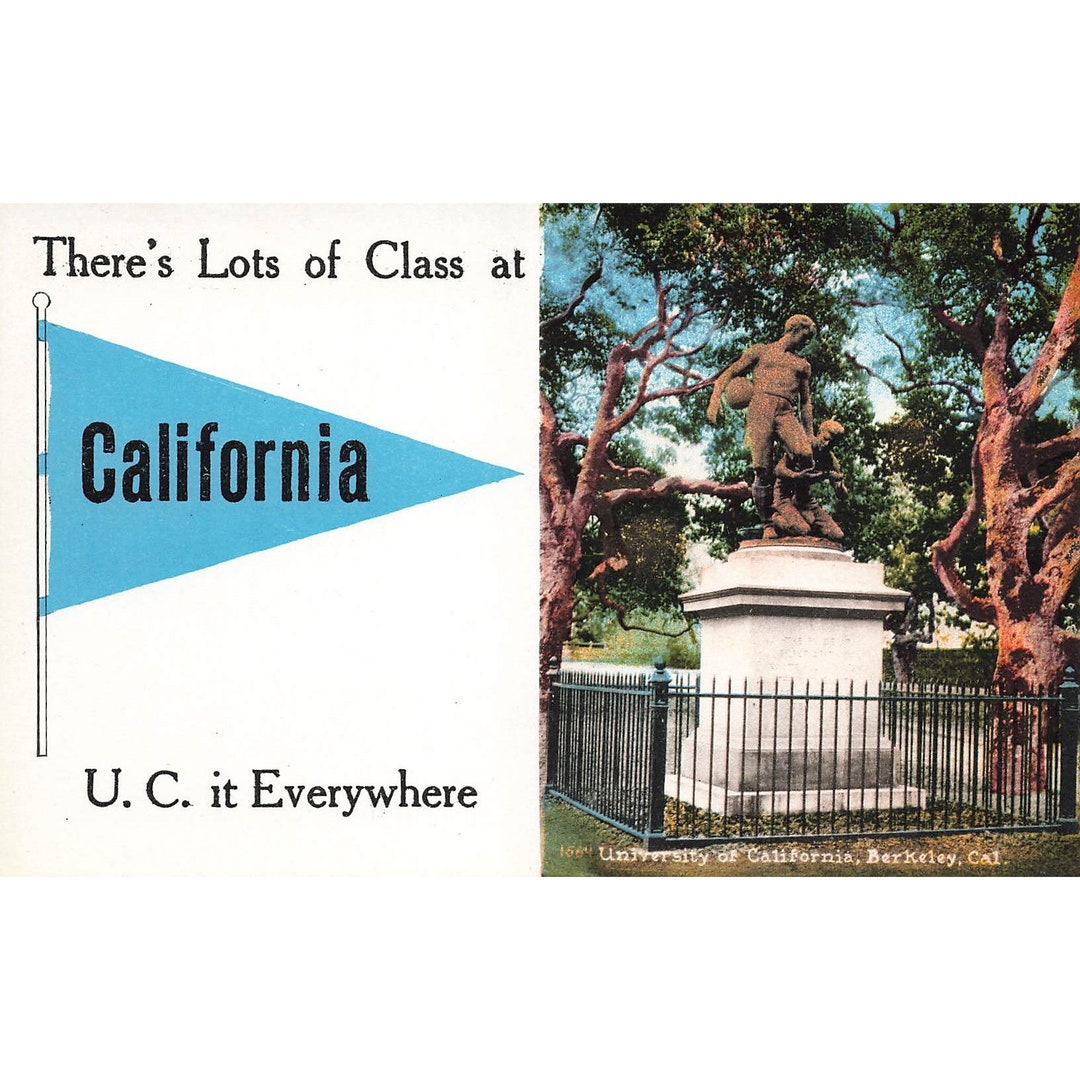 Postcard There's Lots of Class at California, U.C. It Everywhere ...
