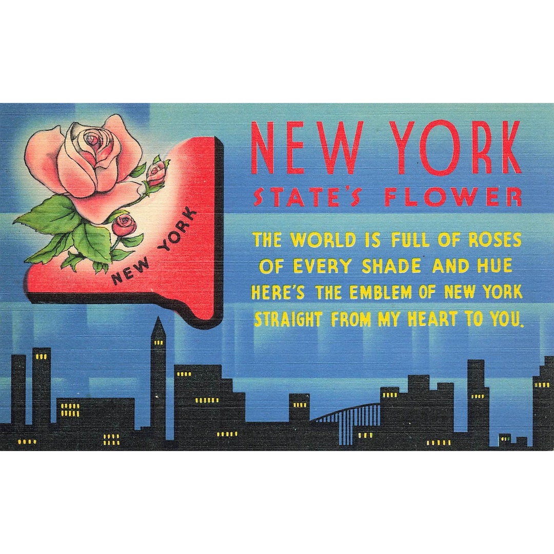 Postcard New York State's Flower the Rose Vintage Linen Unposted 1930 ...
