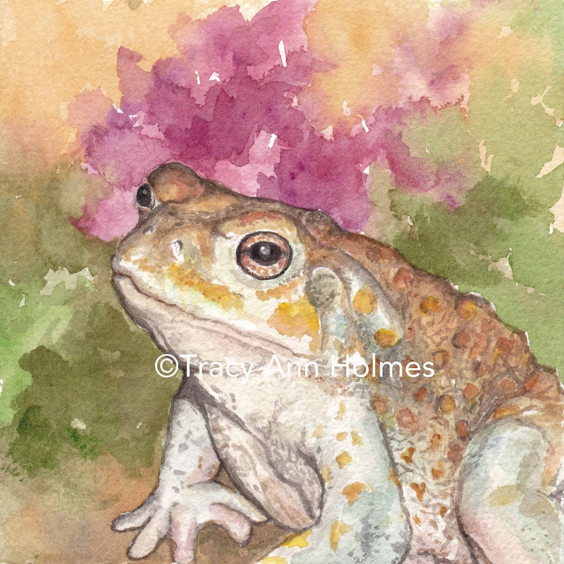 Sonoran Desert Toad, Sonoran Desert Life, Giclée Print - Etsy