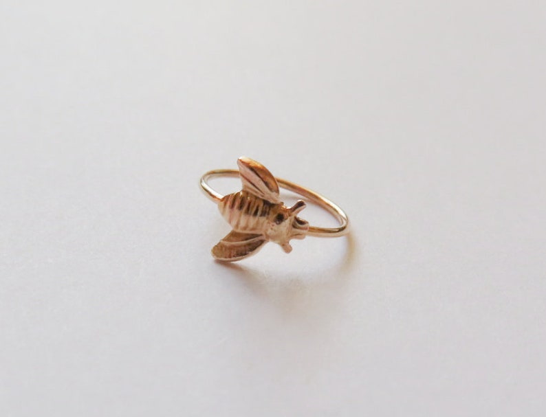Bee Conch Hoop Gold Filled, Conch Ring in 16 Gauge, 18 Gauge, 20 Gauge ...
