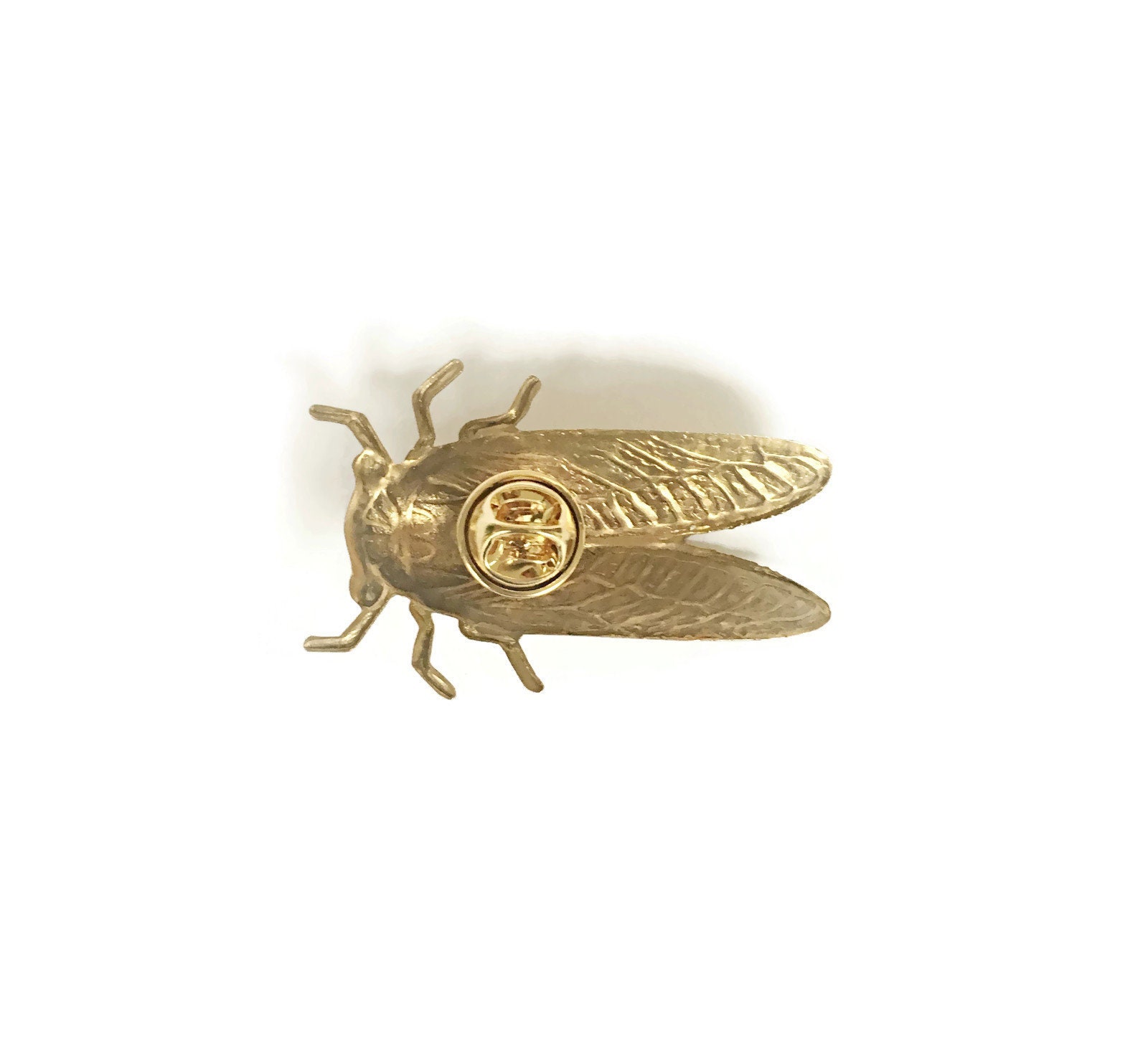Cicada brooch insect brooch cicada pin cicada brooch bug | Etsy