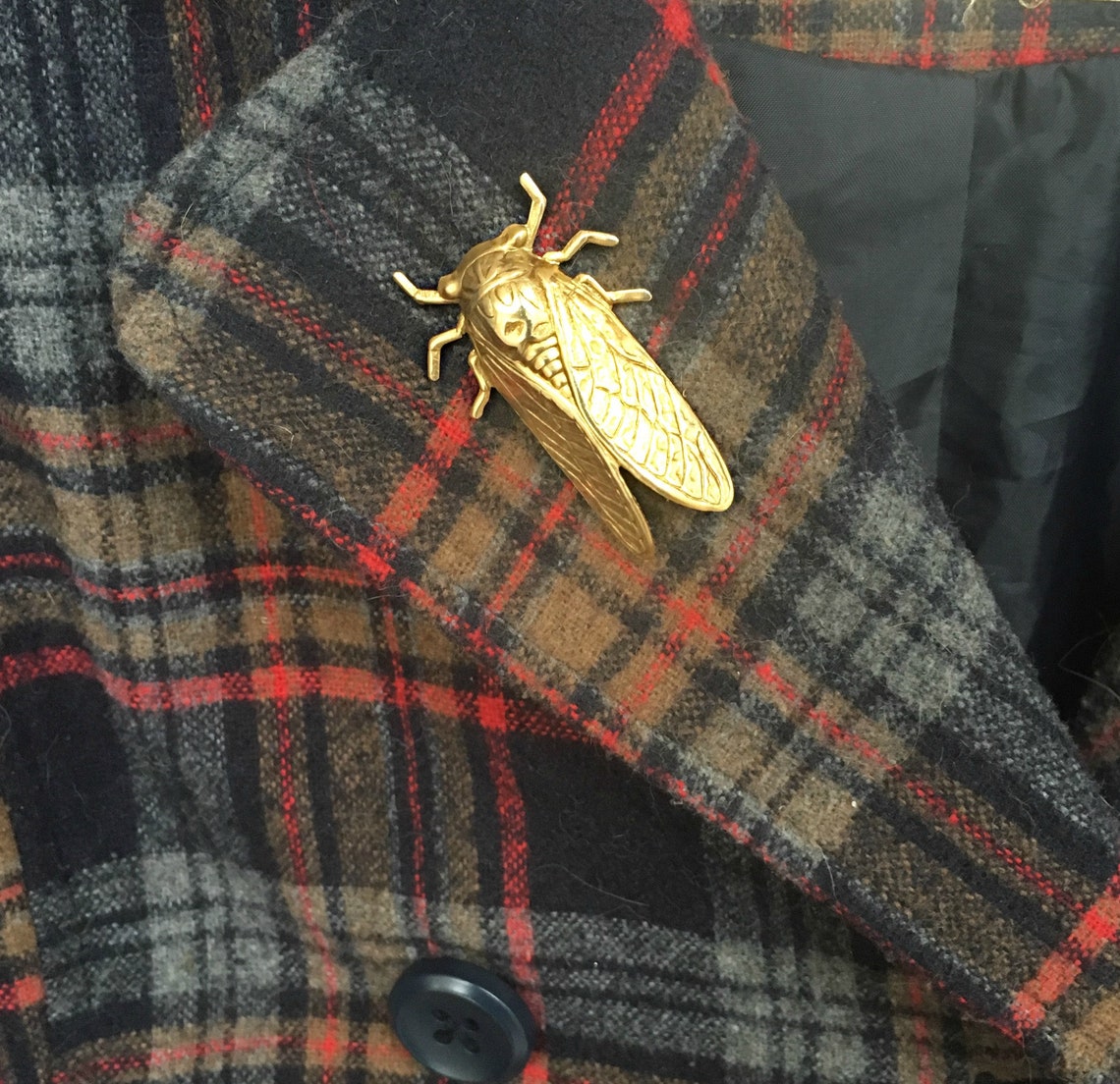 Cicada brooch insect brooch cicada pin cicada brooch bug | Etsy