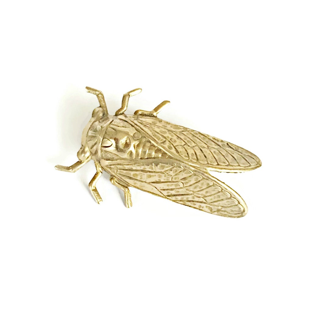 Cicada Brooch Insect Brooch Cicada Pin Cicada Brooch Bug - Etsy