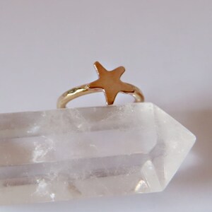 Gold Star Conch Ring, Gold Filled Hammered Conch Hoop in 16 Gauge, 18 ...