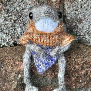 Frog Poncho Knitting Pattern: Amigurumi Froggy Beach Attire (PDF ...