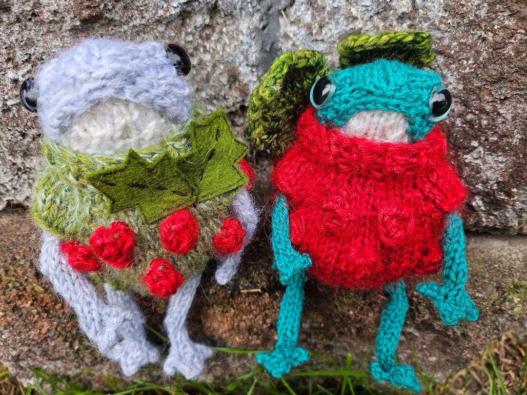 Frog With Costume Adopt a Frog Knitted Frog Amigurumi Frog - Etsy