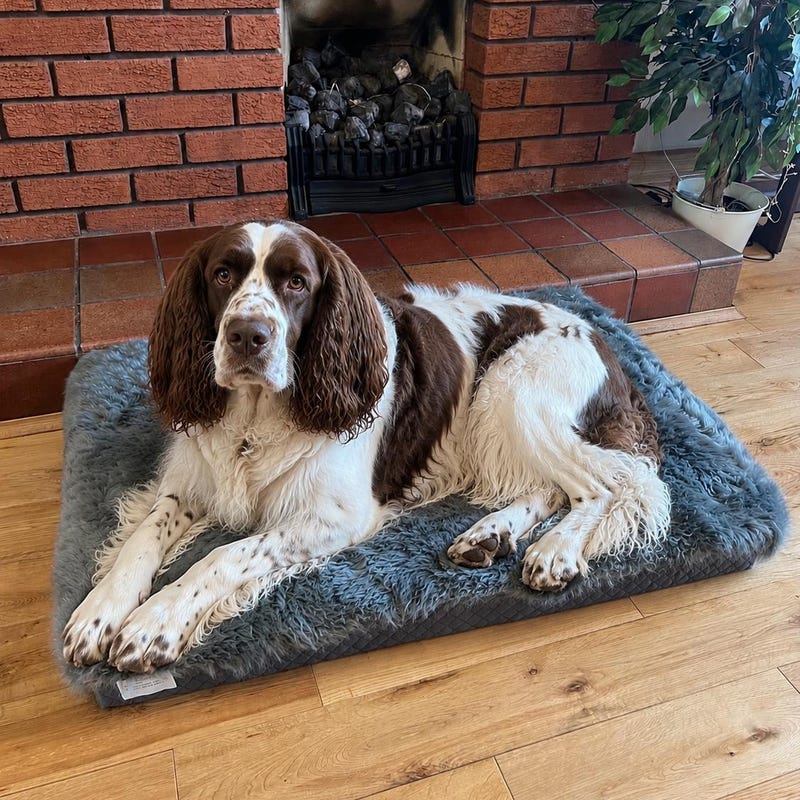 Genuine Sheepskin Pet Beds - Etsy UK