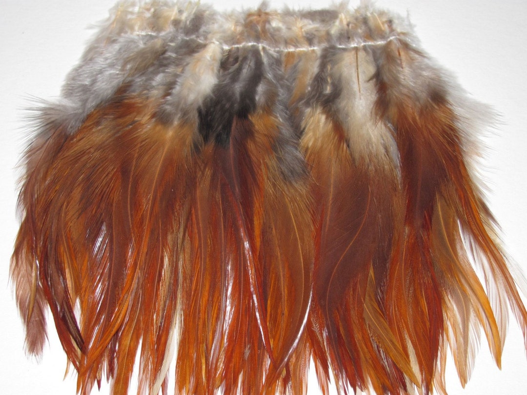 40 Strung Rooster Saddle Hackle Feathers - Natural Brown (5 - 8 Inches ...