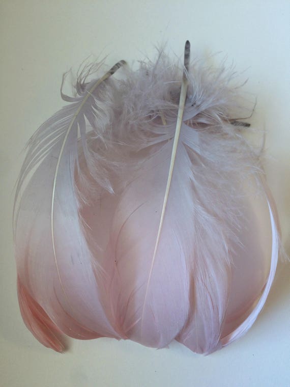 Six Goose Shoulder Feathers Dyed Light Grey and Rose | Etsy