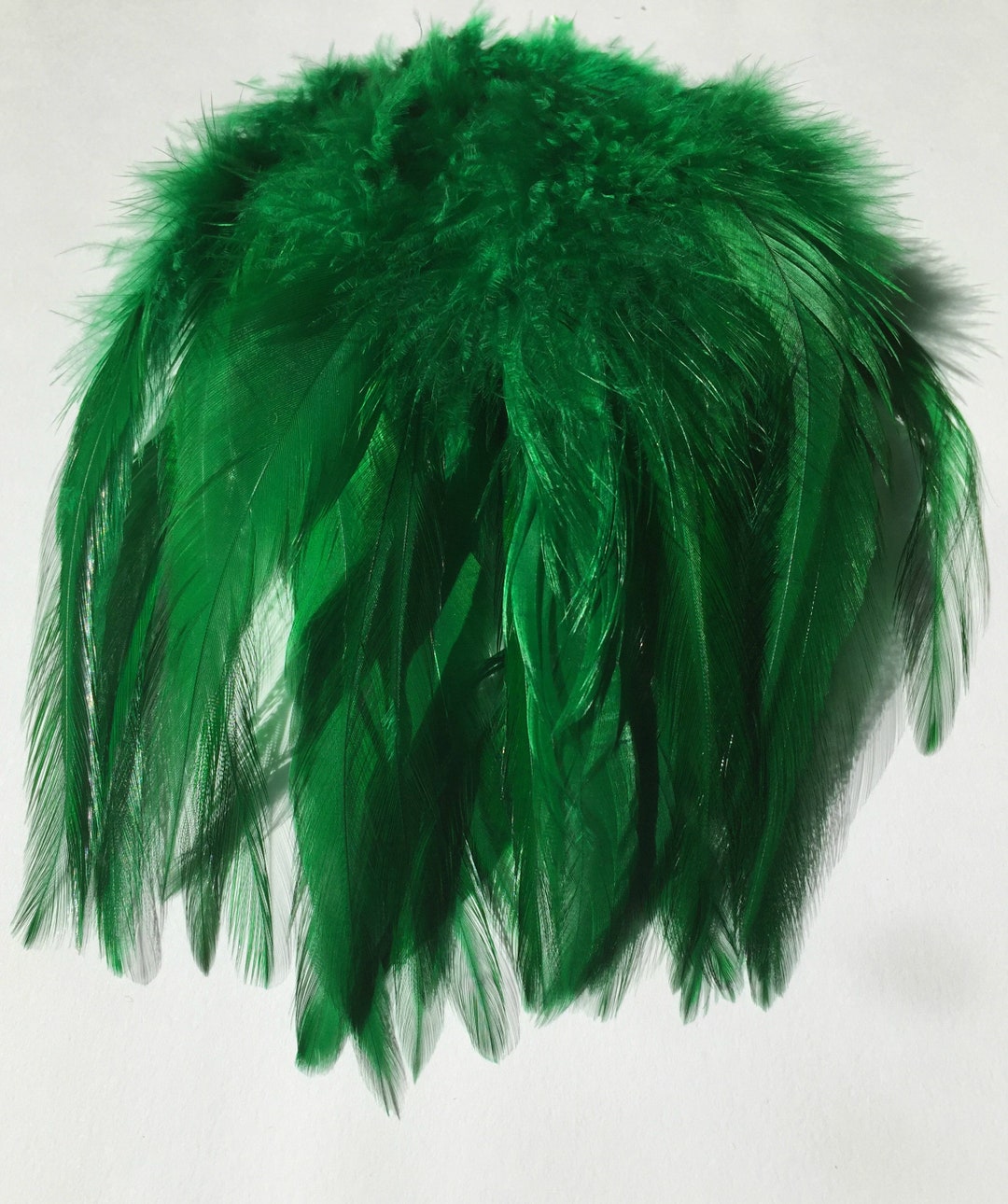 40 Strung Rooster Saddle Hackle Feathers - Forest Green (6 - 8 Inches ...