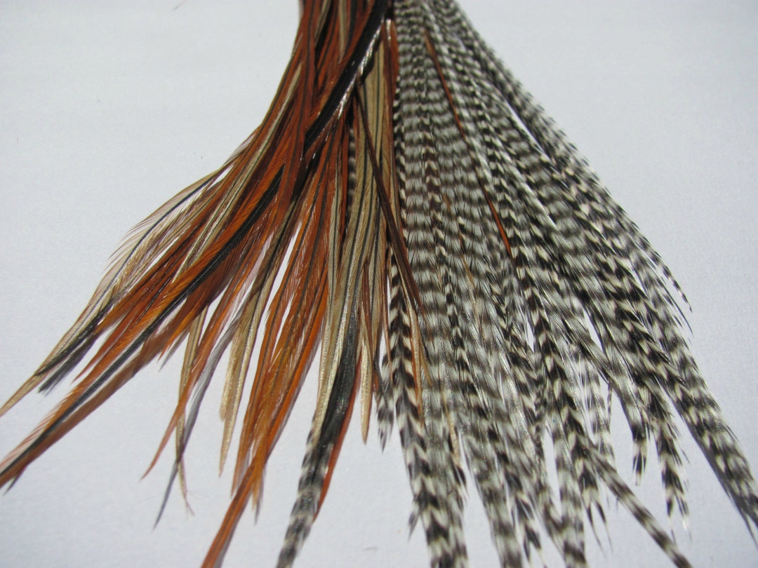 100 Rooster Saddle Hackle Feathers - Furnace & Grizzly (8 - 12 Inches ...