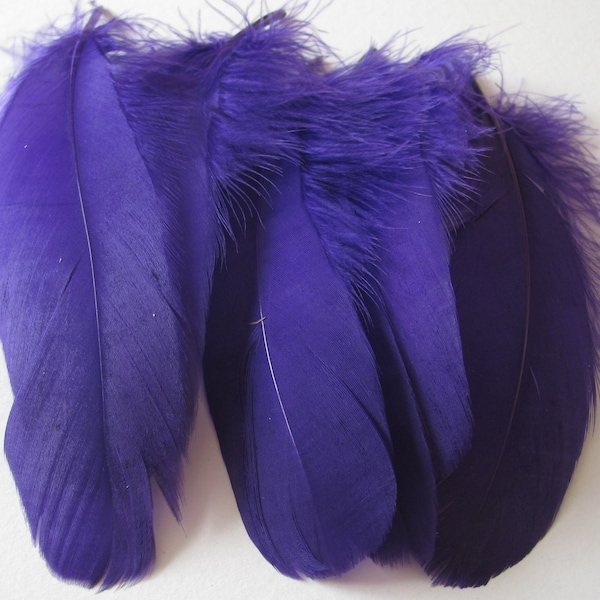 Purple Feathers - Etsy