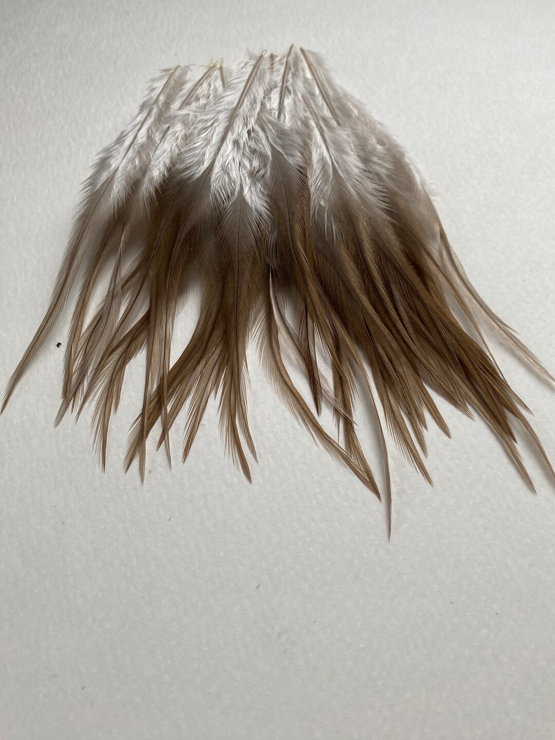 50 Fluff Rooster Saddle Hackles - Medium Brown Dun (3 - 5 Inches) - Etsy