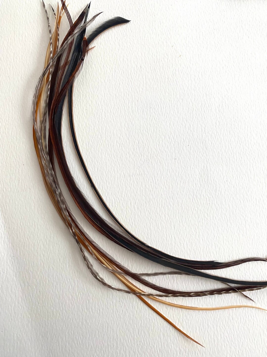 12 Long Rooster Saddle Hackle Feathers Brown Mix 8 10 Inches - Etsy