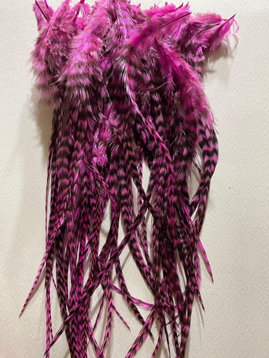 50 Grizzly Fluff Rooster Saddle Hackle Feathers Natural 8 10 Inches - Etsy