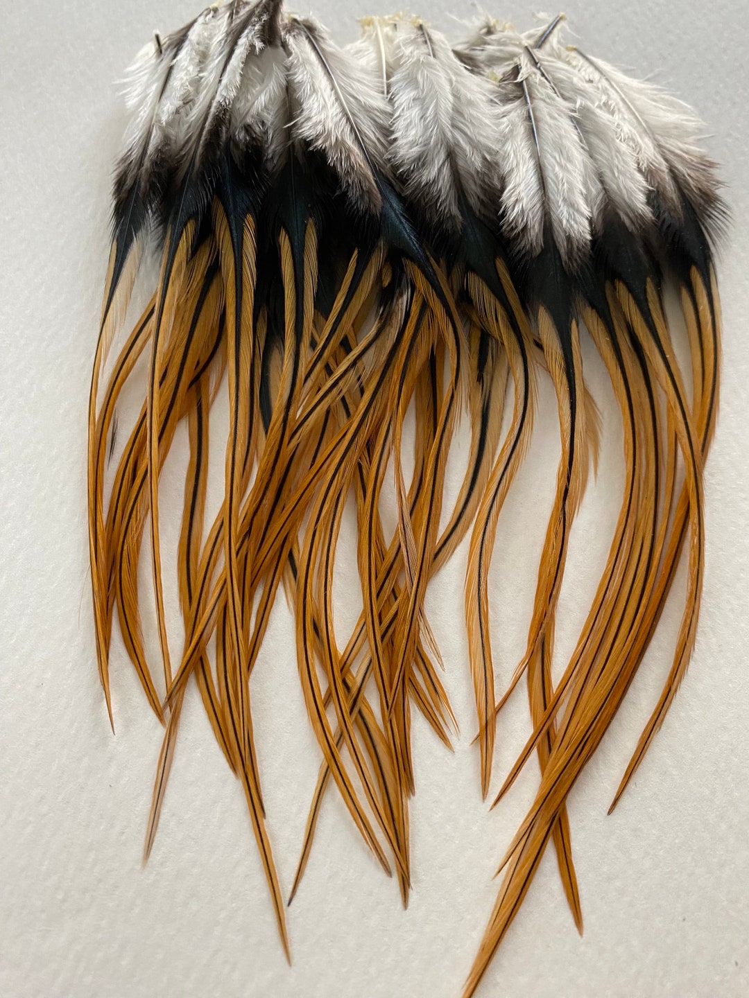 50 Loose Golden Badger Fluff Rooster Saddle Hackle Feathers 3 5 Inches ...