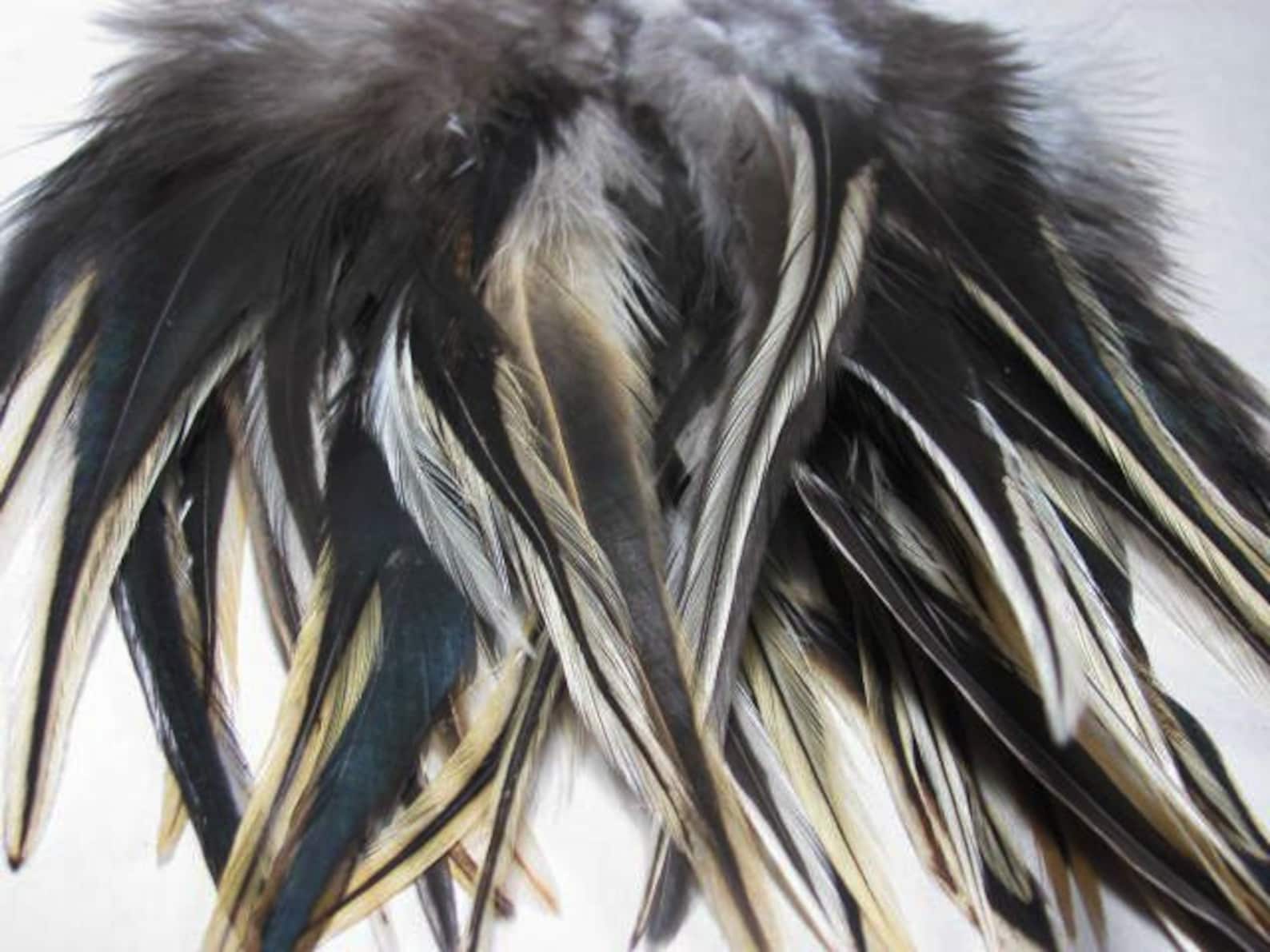 40 Loose Rooster Saddle Hackle Feathers Badger | Etsy