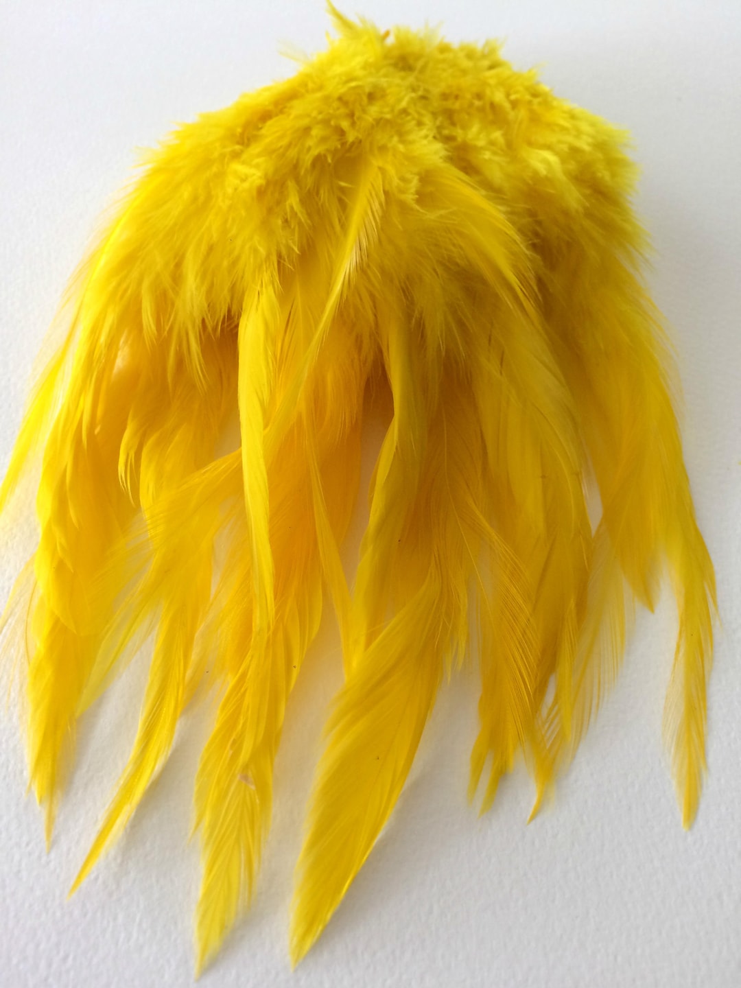 40 Strung Rooster Saddle Hackle Feathers Yellow 5 8 Inches - Etsy Sweden