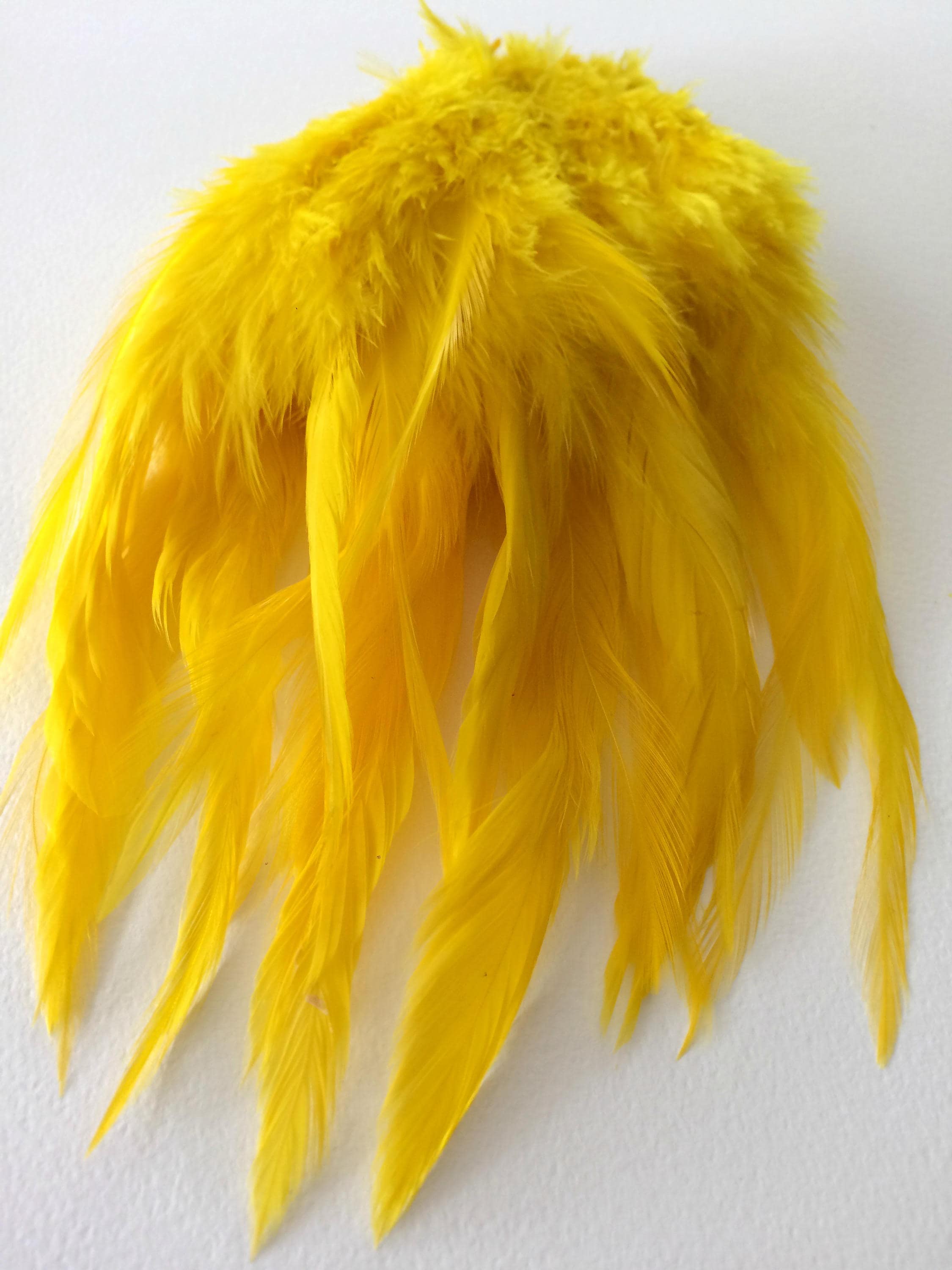40 Strung Rooster Saddle Hackle Feathers Yellow 5 8 Inches - Etsy