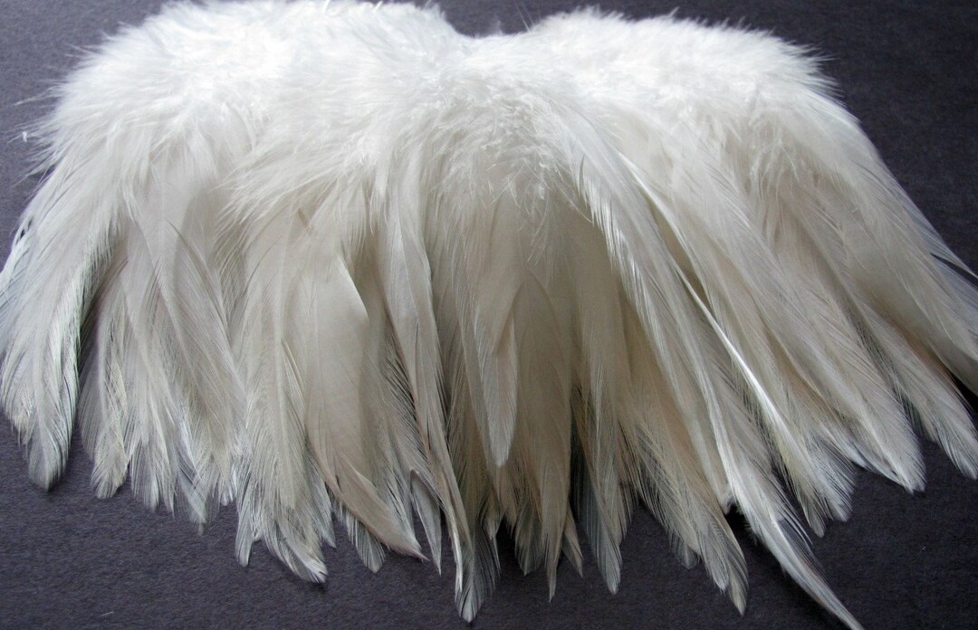 40 Strung Rooster Saddle Hackle Feathers - Natural White (3 - 5 Inches ...