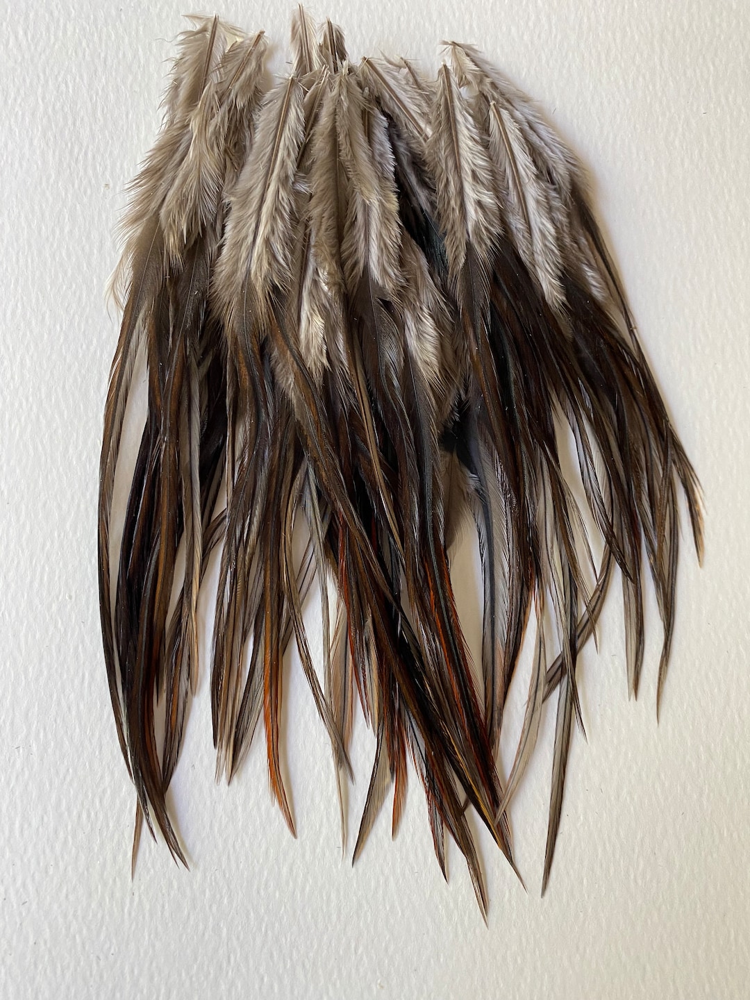 50 Fluff Rooster Saddle Hackle Feathers - Dark Brown Dun (3 - 5 Inches ...