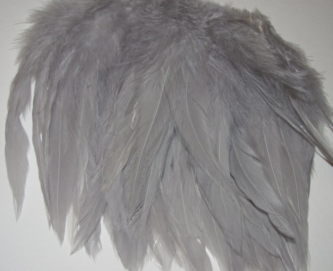 40 Strung Rooster Saddle Hackle Feathers - Grey (5 - 8 Inches) - Etsy