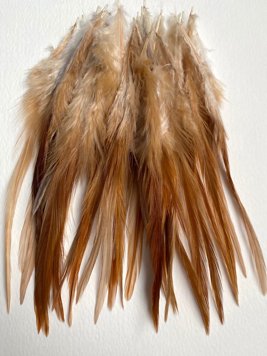40 Loose Rooster Saddle Hackle Feathers - Natural Brown (5 - 8 Inches ...