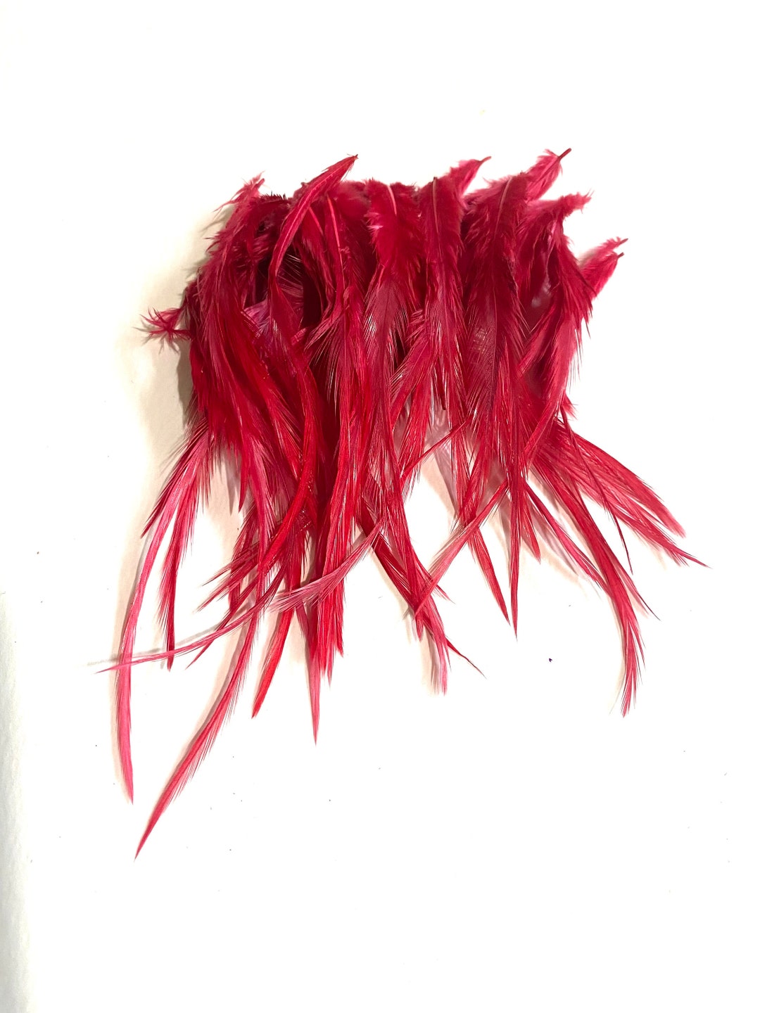 50 Fluff Rooster Saddle Hackle Feathers Scarlet 5 7 Inches - Etsy